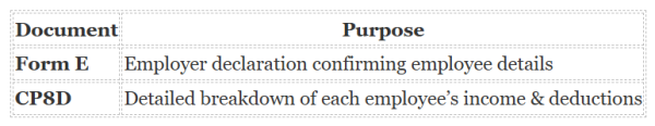 What Is CP8D (Form E)? Definition, Deadline & Employer Filing Guide in ...